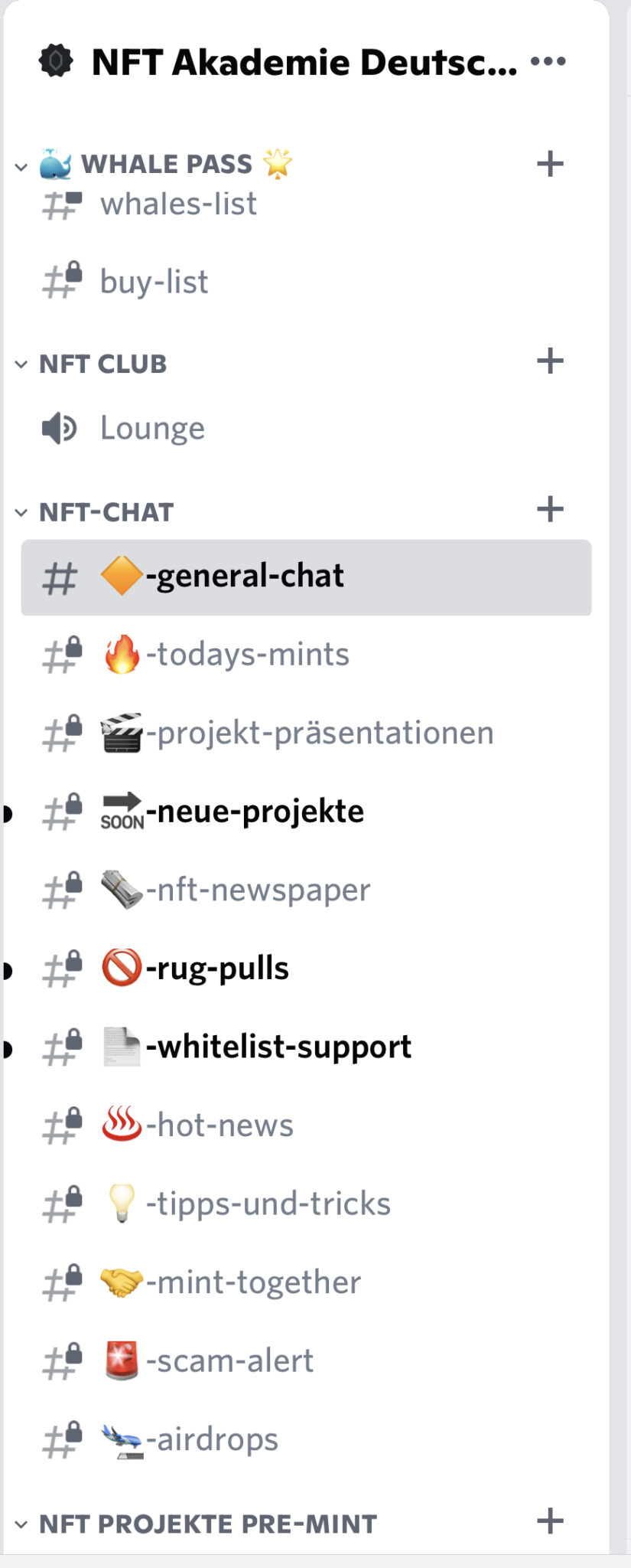 NFT Discord Server einfach erklärt - Nr. 1 NFT Discord Deutsch